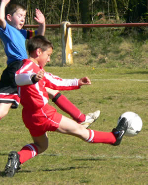 SG Bad Liebenwerda/Möglenz - VfB Hohenleipisch 1912 1:3 (0:1)